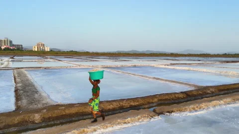 Indian woman working in a salt Field, Mu... | Stock Video | Pond5