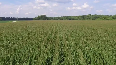 Indiana Farm Stock Video Footage | Royalty Free Indiana Farm Videos | Pond5