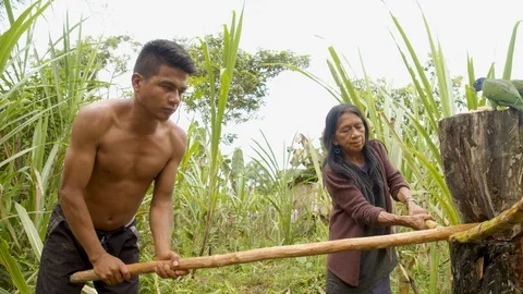 indigenous making sugarcane juice in the... | Stock Video | Pond5