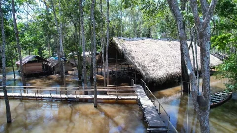 Indigenous native village at Amazon Fore... | Stock Video | Pond5