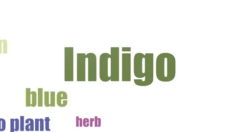 Indigo Word Cloud Animated Isolated On W... | Stock Video | Pond5