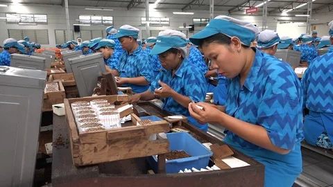 Indonesian factory workers roll kretek c... | Stock Video | Pond5