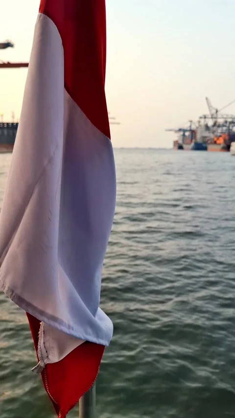 Flag Day Photos Stock Videos – Royalty-Free HD & 4K Videos