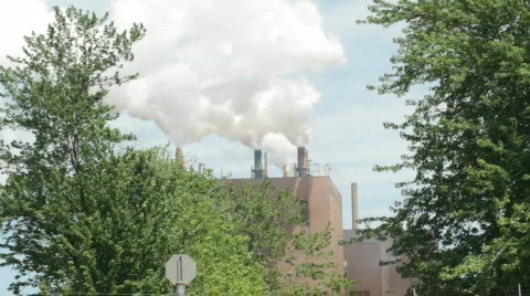 Discharge Tree Stock Video Footage | Royalty Free Discharge Tree Videos ...