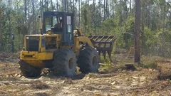 Cat® Small Wheel Loader Rakes At Work, 54% OFF