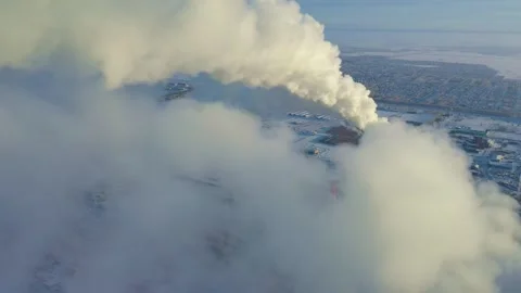 Release Early Stock Videos – Royalty-Free HD & 4K Videos