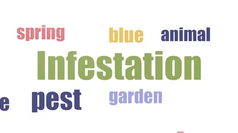Infestation Word Cloud Animated On White... | Stock Video | Pond5