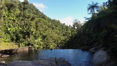 Infinity pool in forest in Puerto Rico, ... | Stock Video | Pond5