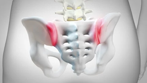 Sacroiliac Stock Footage ~ Royalty Free Stock Videos | Pond5