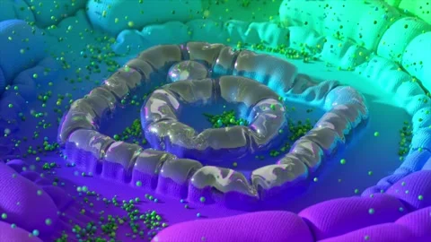 The inflatable Instagram logo emerges fr... | Stock Video | Pond5