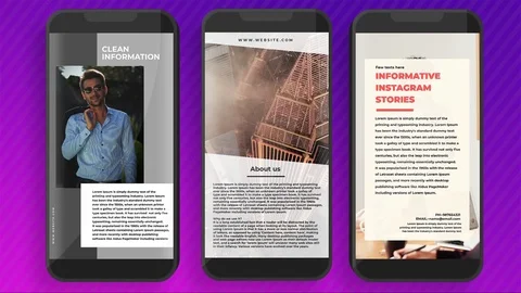 Informative Instagram Stories ~ After Effects #124003032