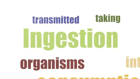 Ingestion Word Cloud Animated Isolated O... | Stock Video | Pond5