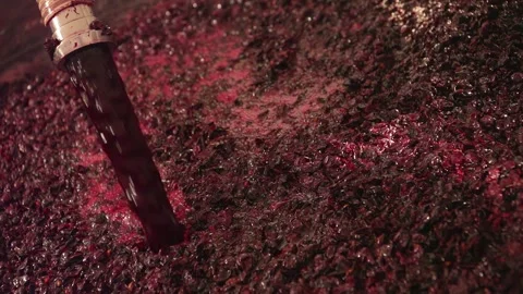 Injection of grape juice in fermentation... | Stock Video | Pond5
