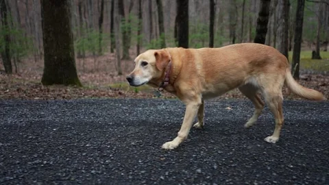 Broken Leg Hospital Stock Footage ~ Royalty Free Stock Videos | Page 8