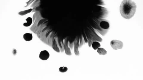 Ink Reveal Stock Footage ~ Royalty Free Stock Videos | Pond5