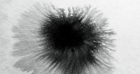 ink drop water transition overlay black ... | Stock Video | Pond5