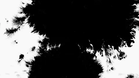 Aink Video Stock Videos – Royalty-Free HD & 4K Videos