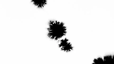 Ink matte, splash transition reveals. In... | Stock Video | Pond5