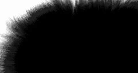 Ink Matte Transition on White Background | Stock Video | Pond5