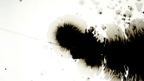 Paint Reveal Stock Video Footage | Royalty Free Paint Reveal Videos | Pond5