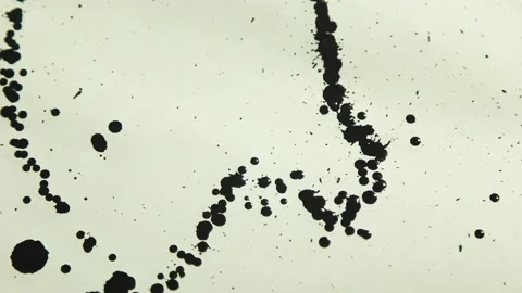 ink splashing on white background artist... | Stock Video | Pond5