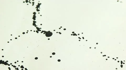 ink splashing on white background artist... | Stock Video | Pond5