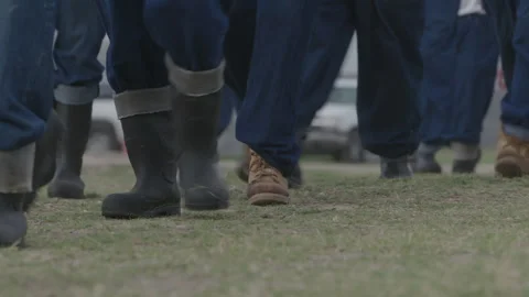 Inmates working the field in a USA south... | Stock Video | Pond5