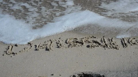 Brown Portfolio Video Stock Videos – Royalty-Free HD & 4K Videos | Pond5