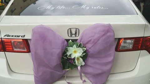 Girls Rule Stickers Stock Videos – Royalty-Free HD & 4K Videos | Pond5