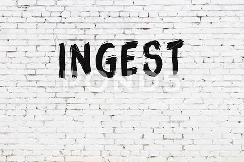 Inscription ingest written with black paint on white brick wall. ~ Clip ...