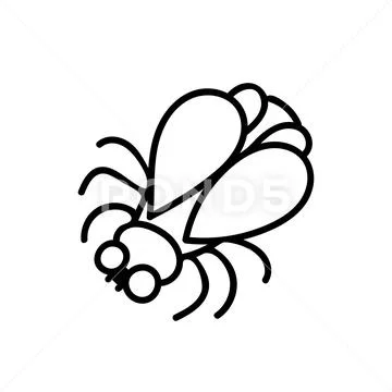 Insect fly doodle line art. Hand drawing vector illustration. Simple ...