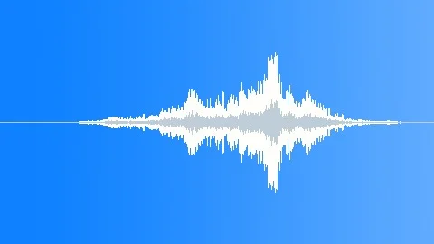 Insect Insects Flies Fly Or Bee Buzz Close Up Fast Buzzing Intense ...