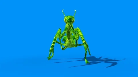 Insect Animation Stock Videos – Royalty-Free HD & 4K Videos | Pond5