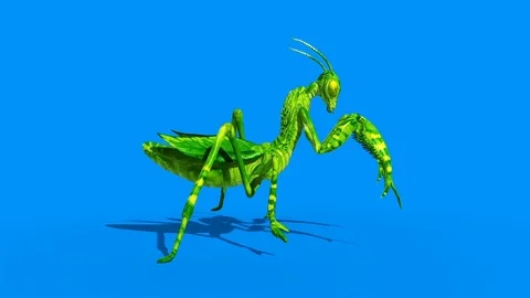 Insect Animation Stock Videos – Royalty-Free HD & 4K Videos | Pond5