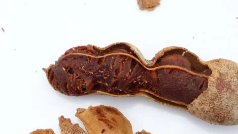 Tamarind Stock Videos – Royalty-Free HD & 4K Videos | Page 2