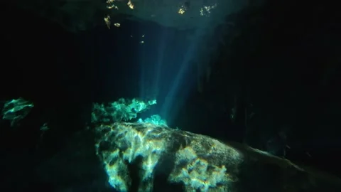 Inside a Cenote at Tulum, Riviera Maya | Stock Video | Pond5