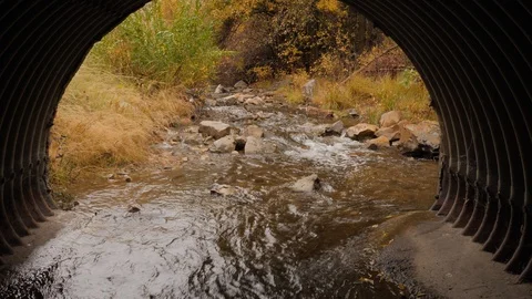 Inside a culvert looking up stream | Stock Video | Pond5