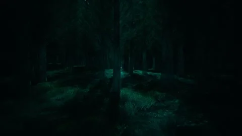 Inside the Eerie Forest - Loop Tunnel St... | Stock Video | Pond5