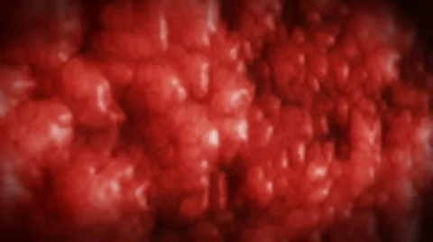 Inside human body,red blood cells,highly... | Stock Video | Pond5