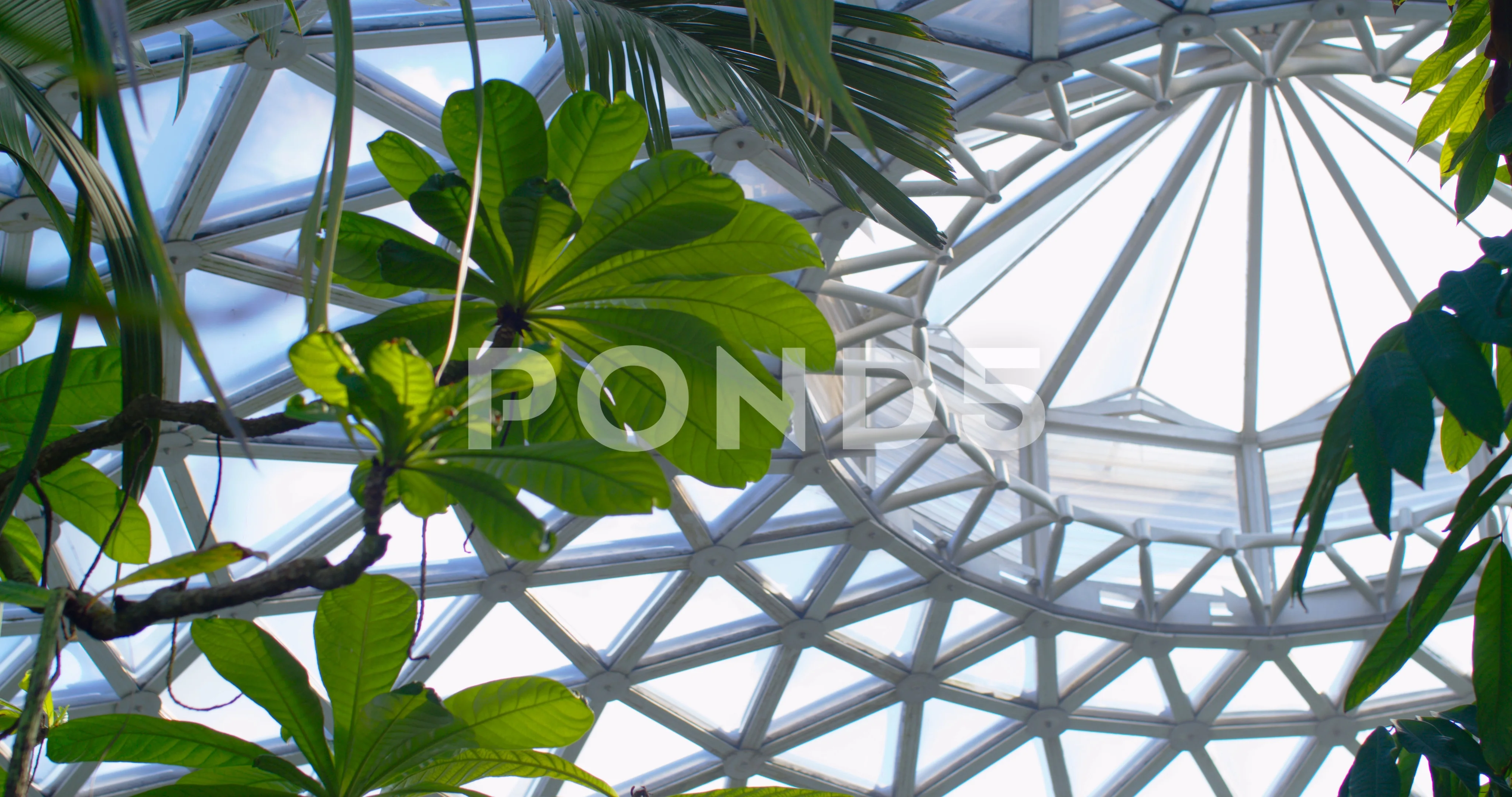 Giant Glass Dome