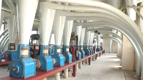 Row Of Flour Stock Videos – Royalty-Free HD & 4K Videos | Pond5