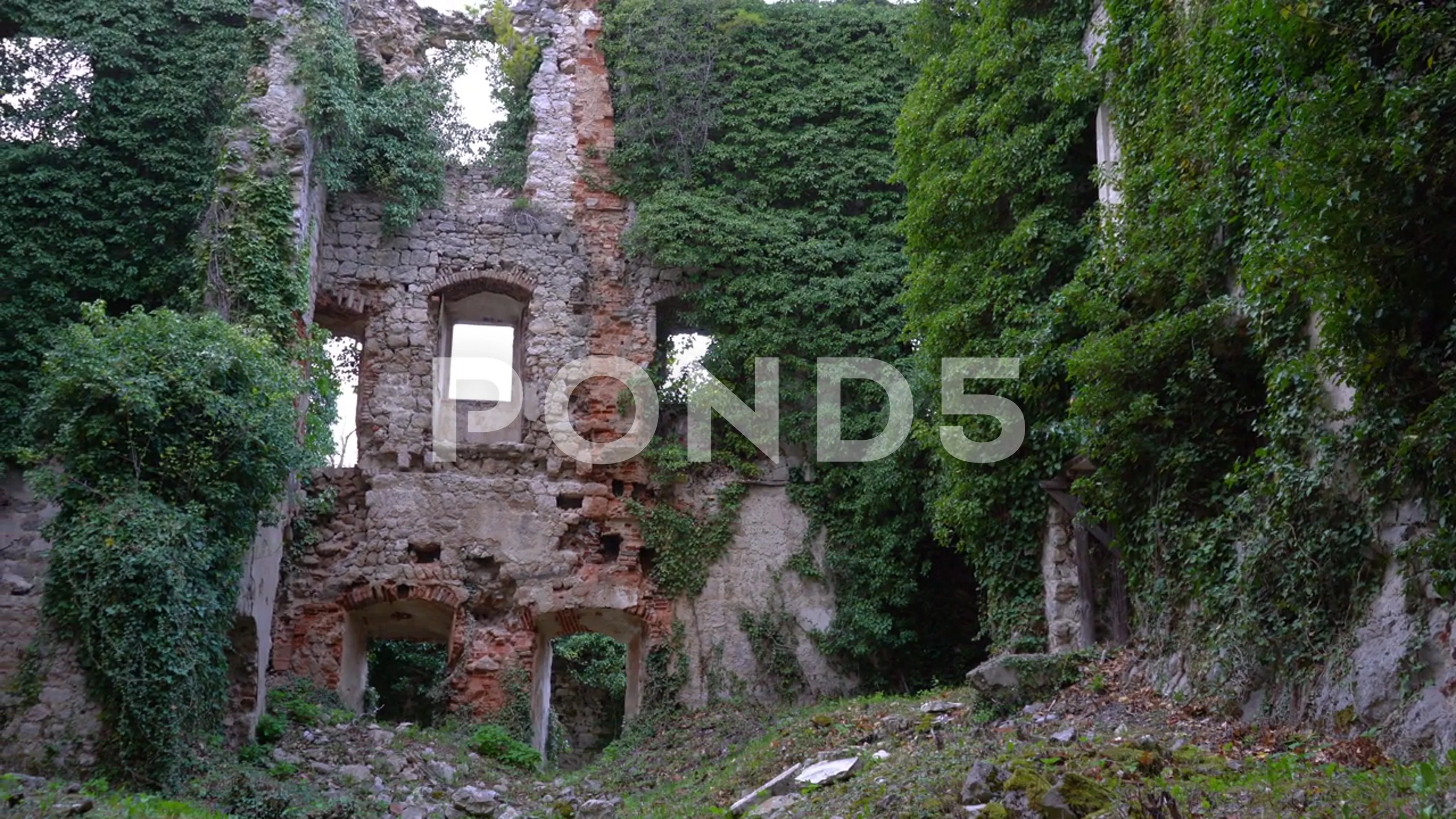 Inside Castle Ruins