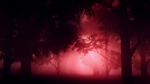 Inside a Red Foggy Forest - Loop Landsca... | Stock Video | Pond5