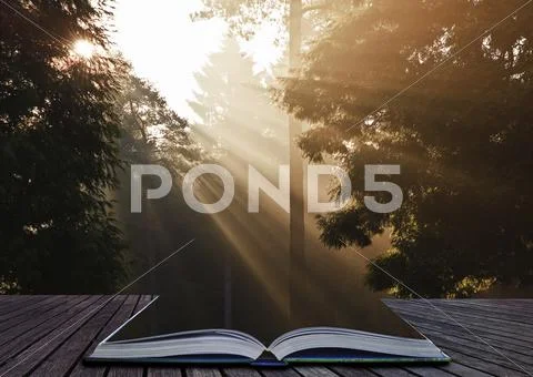 Inspirational sun beams at dawn coming out of pages in magic book ...