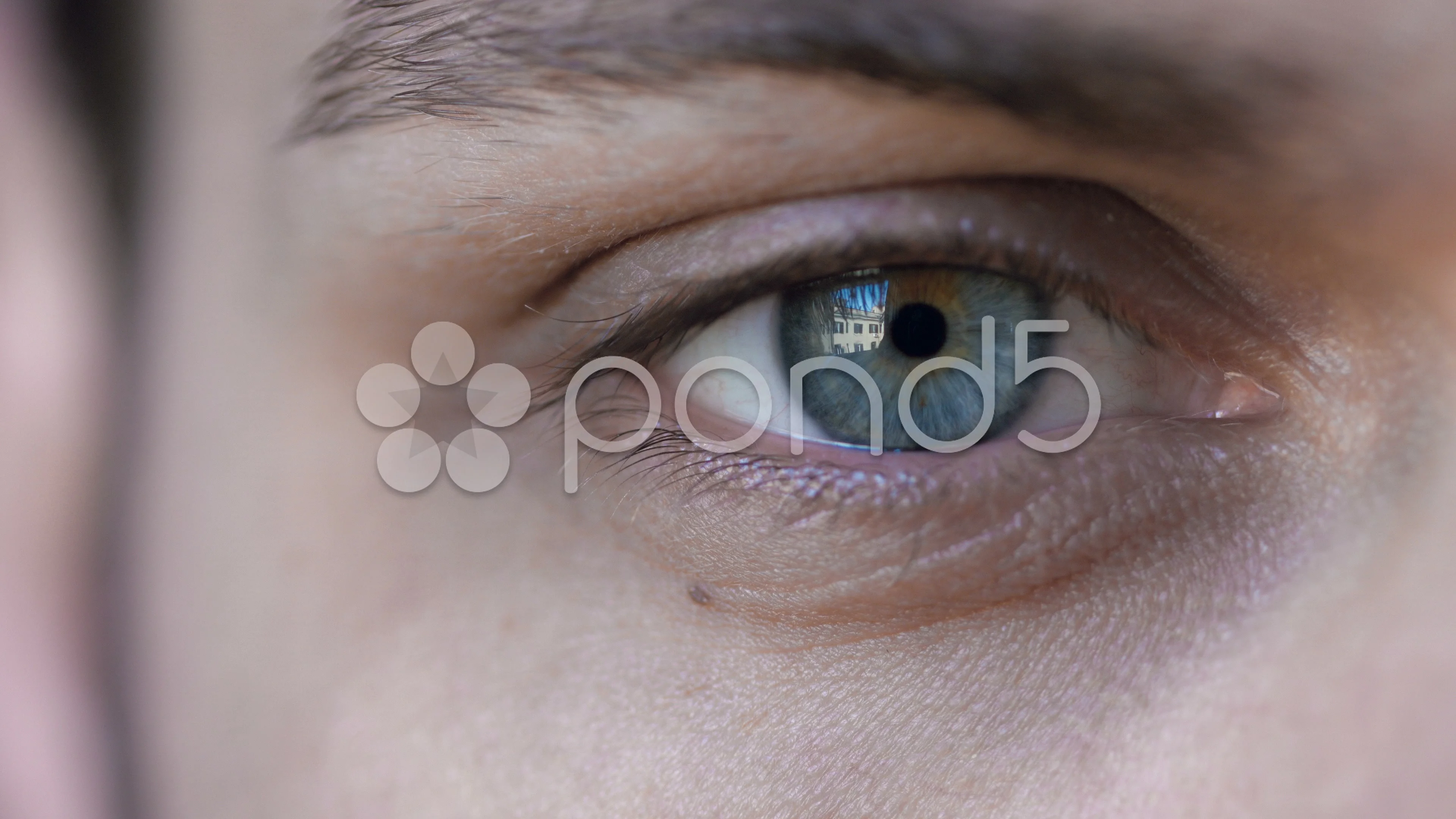 Intense Gaze Blue Eye In Macro 4k Footage Of Young 147,860 Eye Human