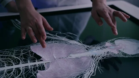 An interactive table with a 3D model of ... | Stock Video | Pond5