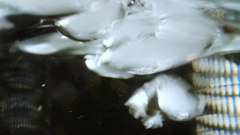 Interesting Chemical Reaction. Close-up. | Stock Video | Pond5