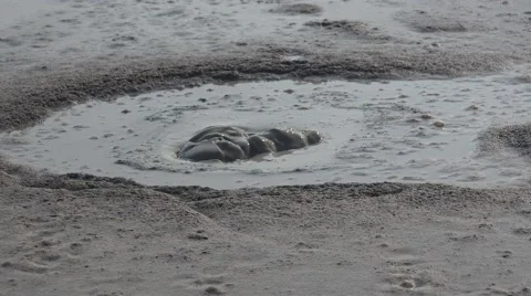 Mud Volcano Stock Videos – Royalty-Free HD & 4K Videos | Page 6