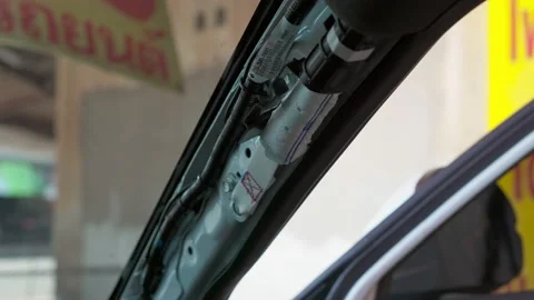 Body Interior Stock Videos – Royalty-Free HD & 4K Videos | Pond5