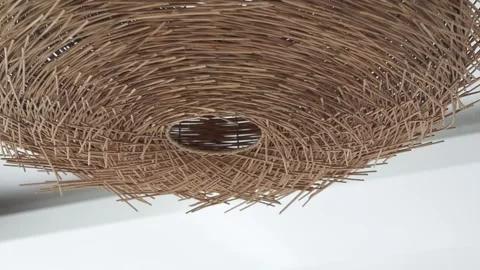 Aesthetic Wood Texture Stock Videos – Royalty-Free HD & 4K Videos